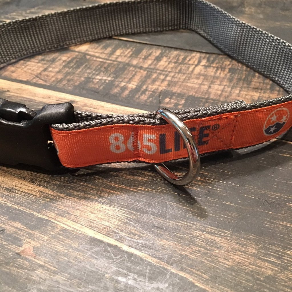Dog Collars – 865LIFE